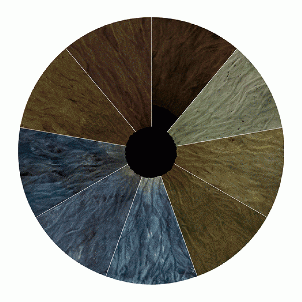 CUSTOMFLEX® ARTIFICIALIRIS | Iris Prosthesis